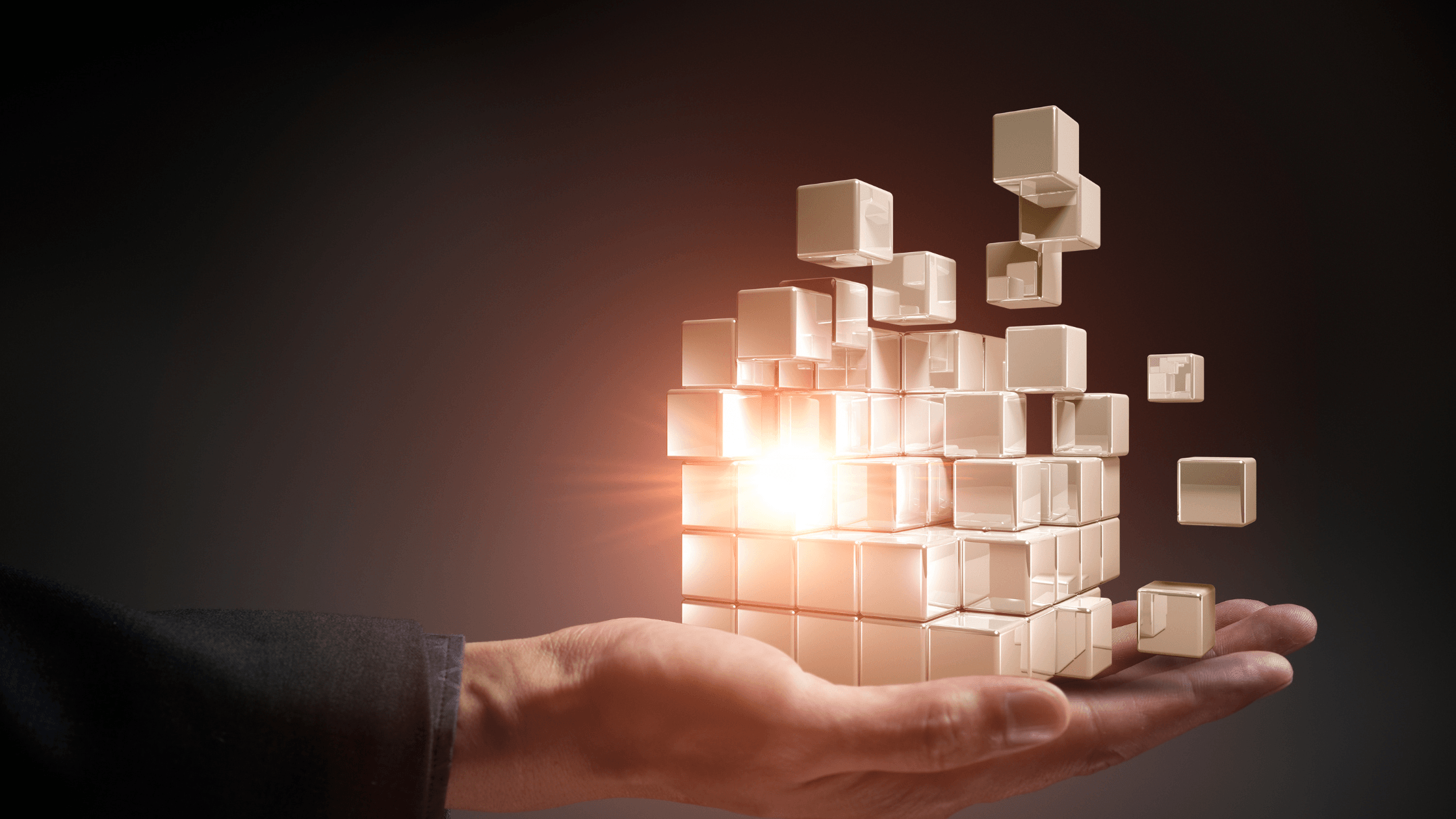 The Evolving Role of the CMO: Insights and Challenges